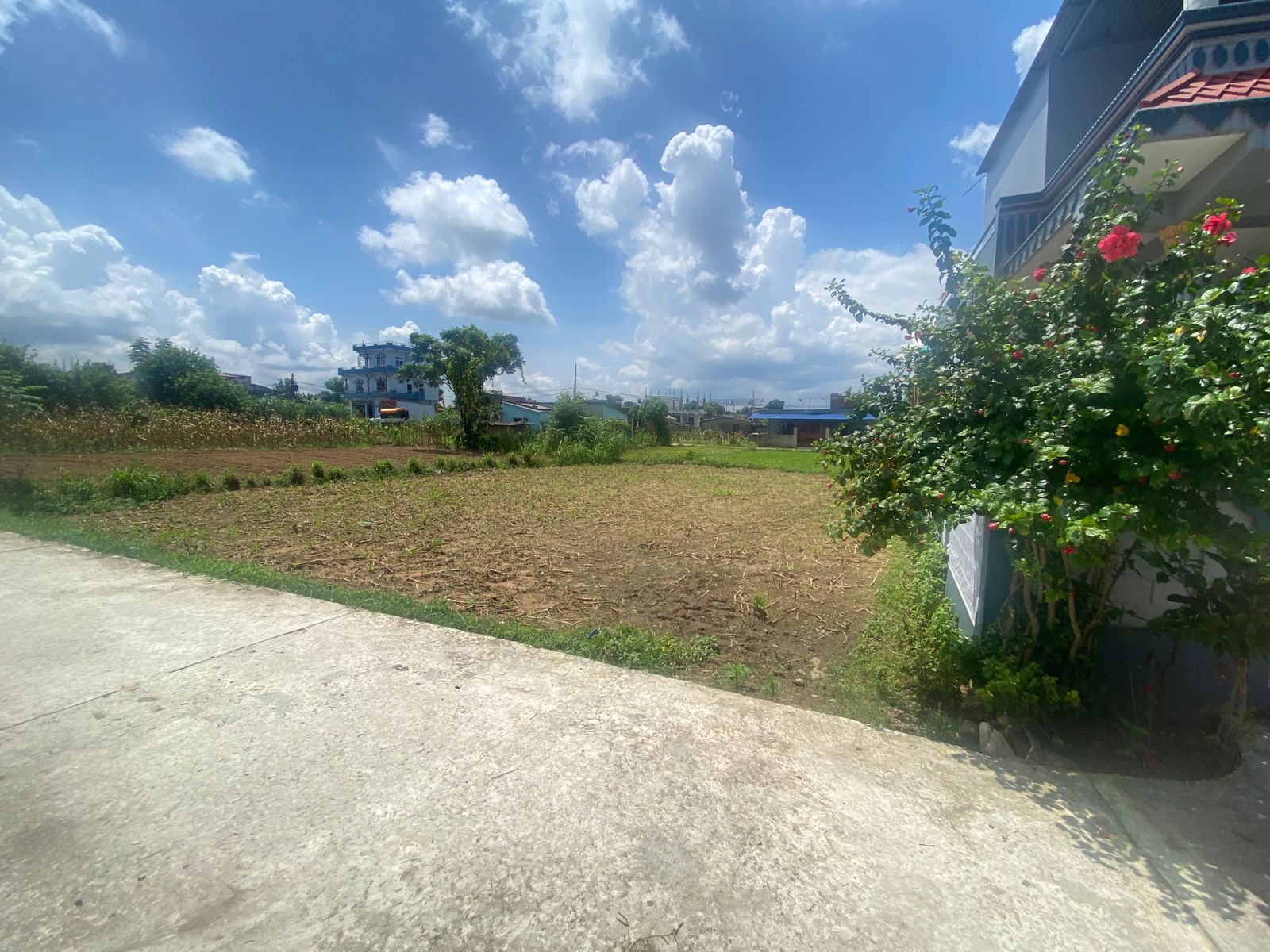 Auction Portal | Siddhartha Bank